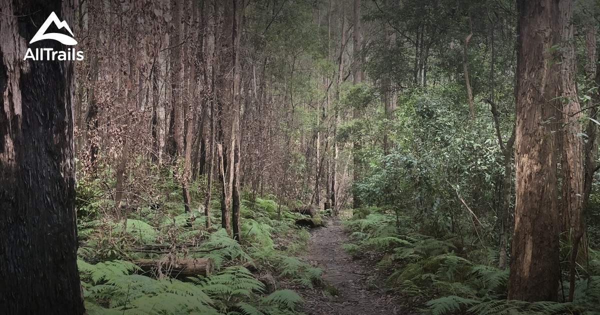 Best hikes and trails in Turramurra | AllTrails