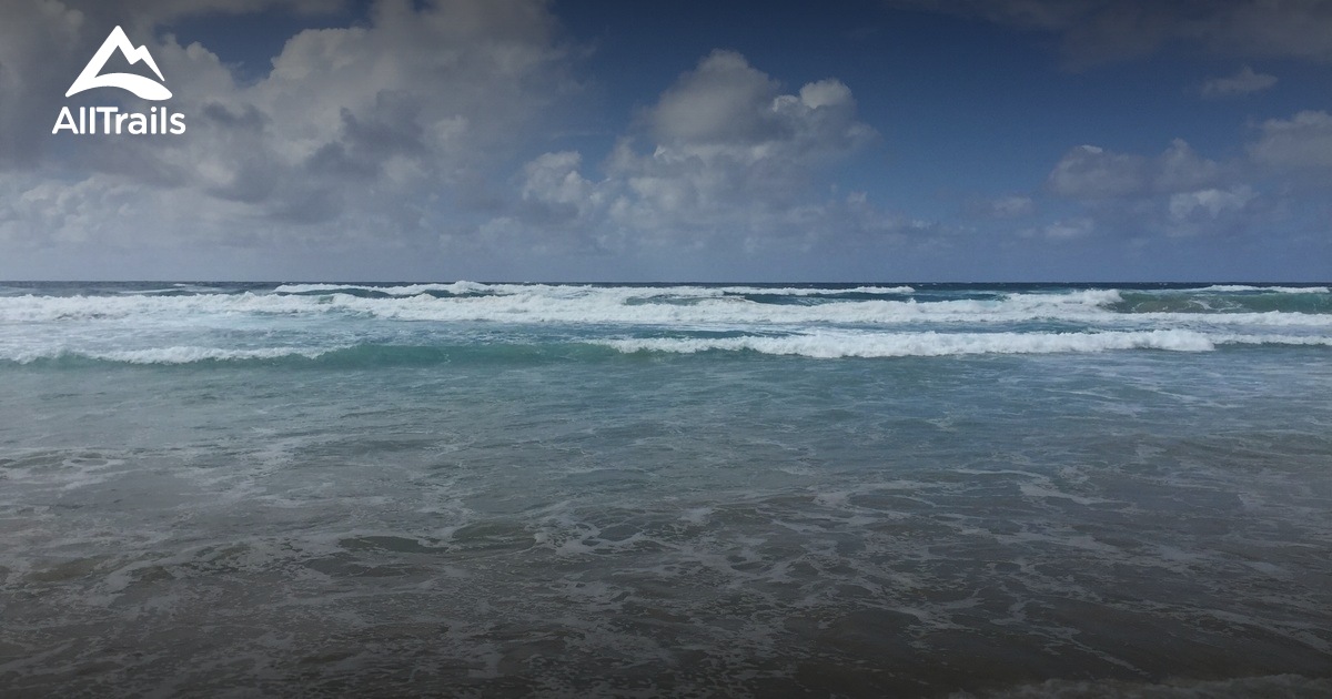 Tweed Heads: as melhores trilhas longas | AllTrails