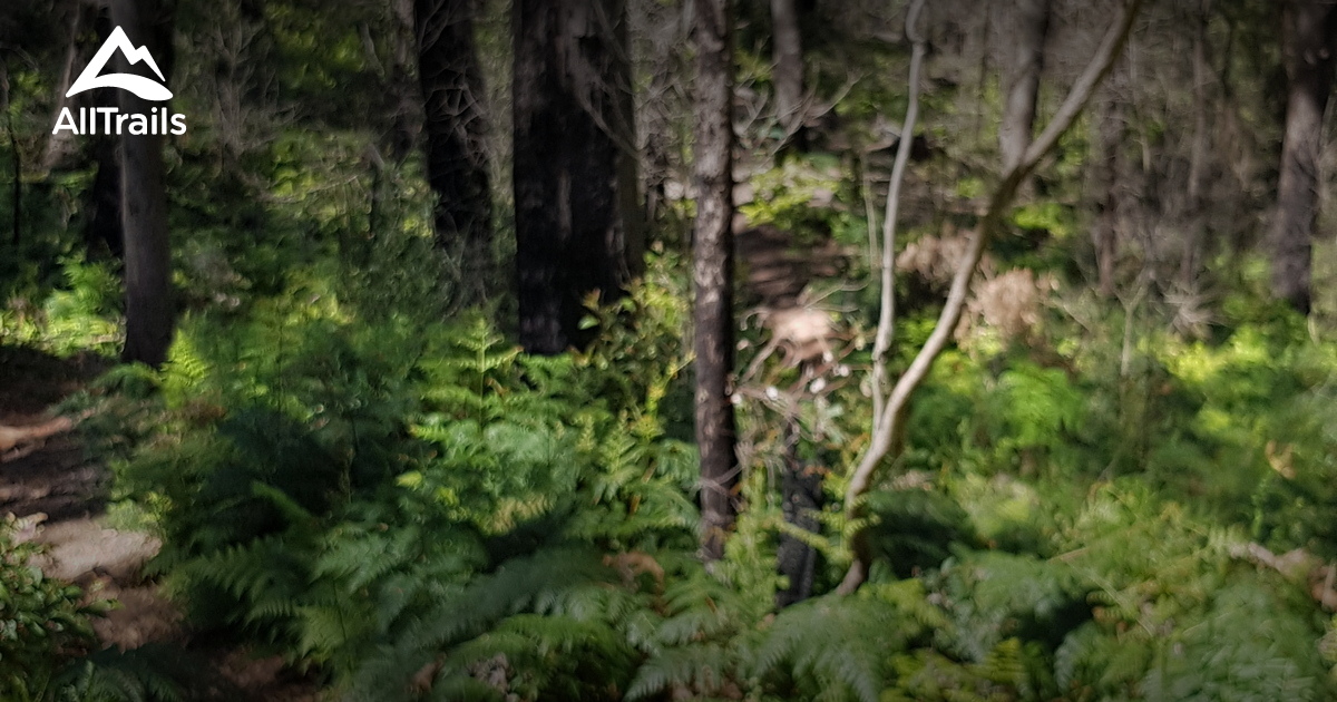 Best hikes and trails in Wingello | AllTrails