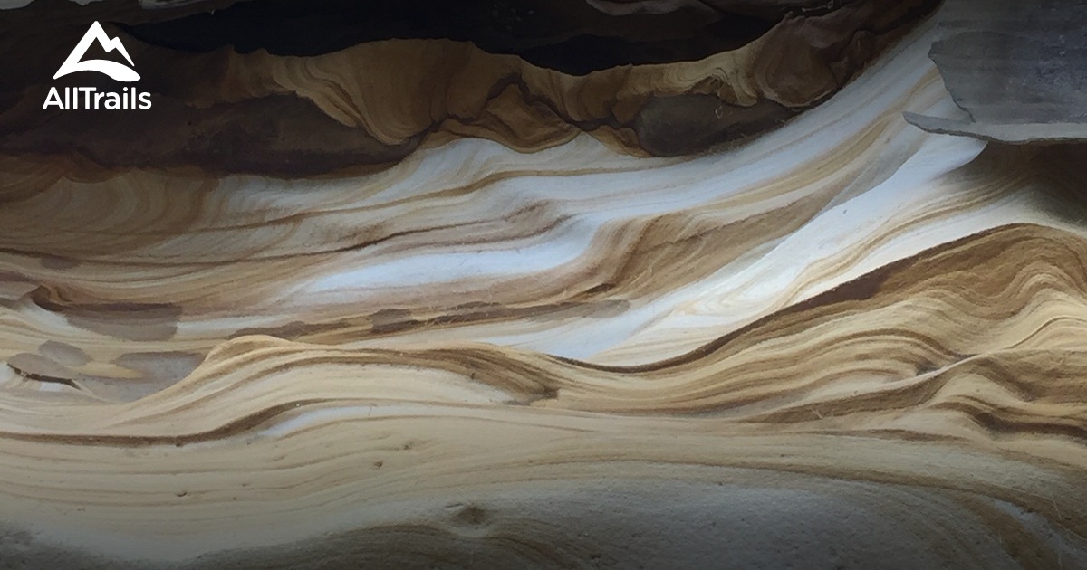 Best hikes and trails in Wyong Creek | AllTrails