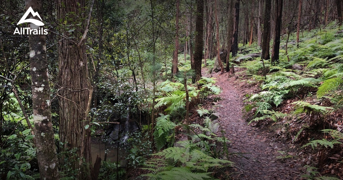 Best hikes and trails in Yellow Rock | AllTrails