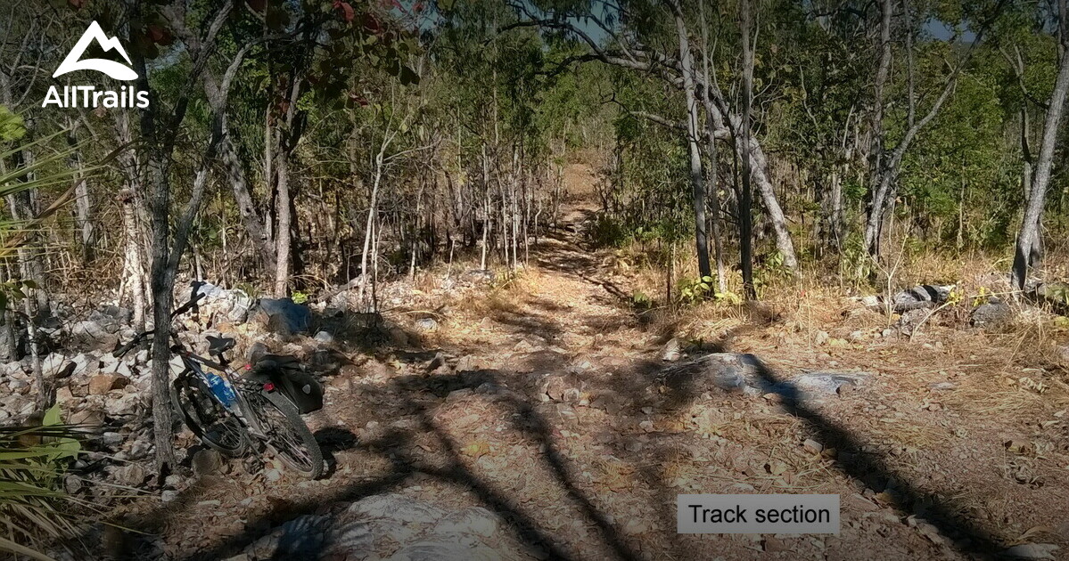 Best hikes and trails in Darwin River Dam | AllTrails