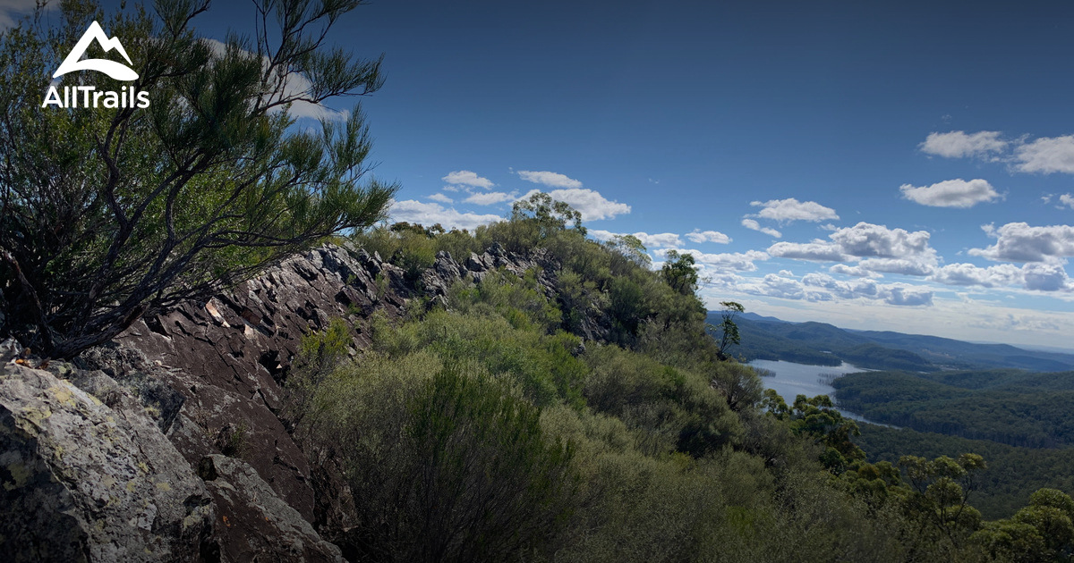 Best hikes and trails in Advancetown | AllTrails