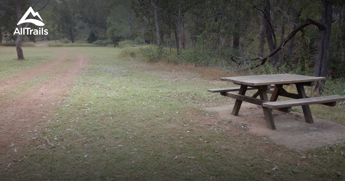 Best Trails, Walks, and Paths in Allenview | AllTrails
