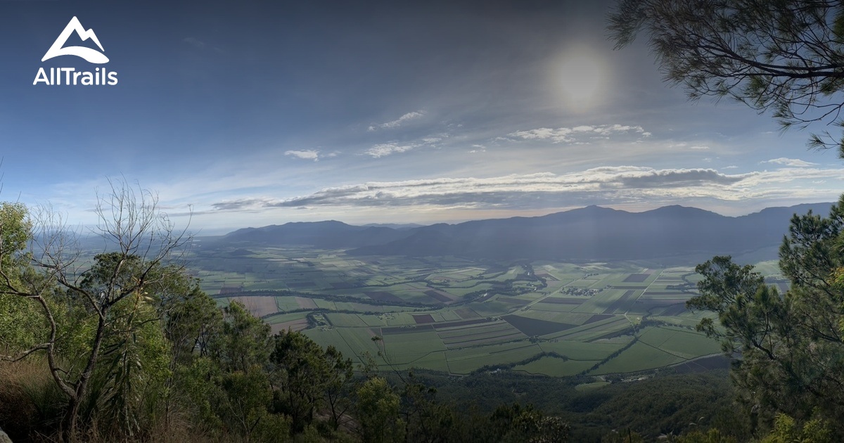 Best forest trails in Aloomba | AllTrails