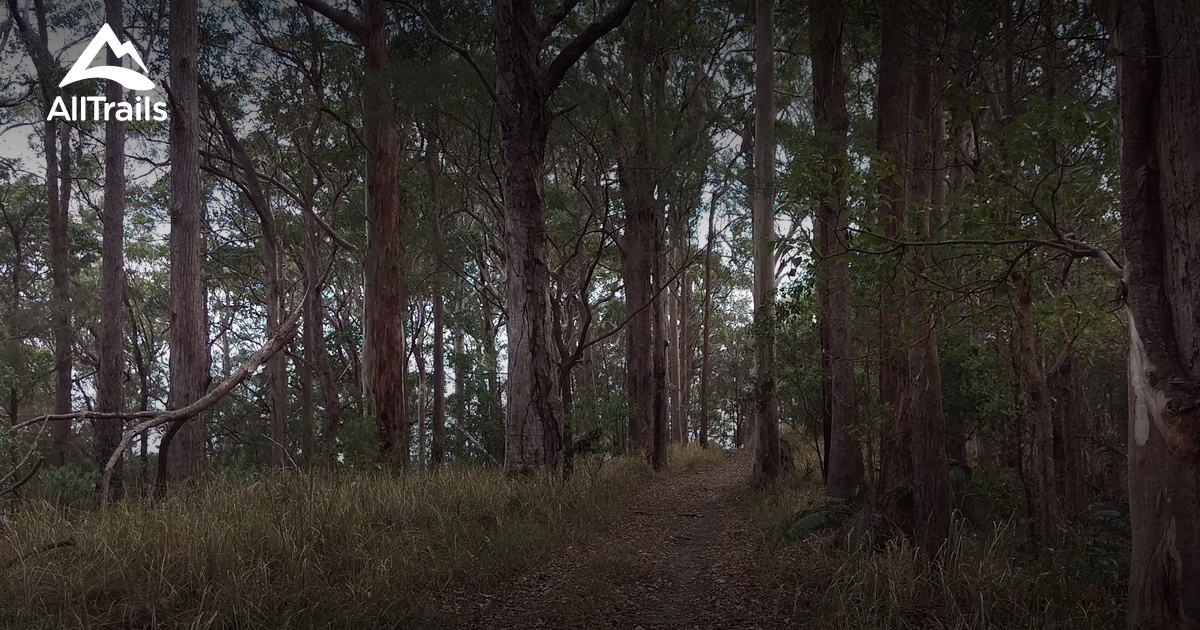 Best hikes and trails in Austinville | AllTrails