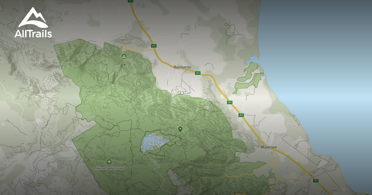 Best hikes and trails in Bambaroo | AllTrails