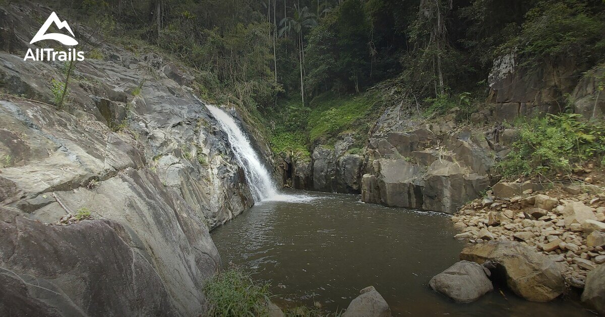 Best hikes and trails in Bellthorpe | AllTrails