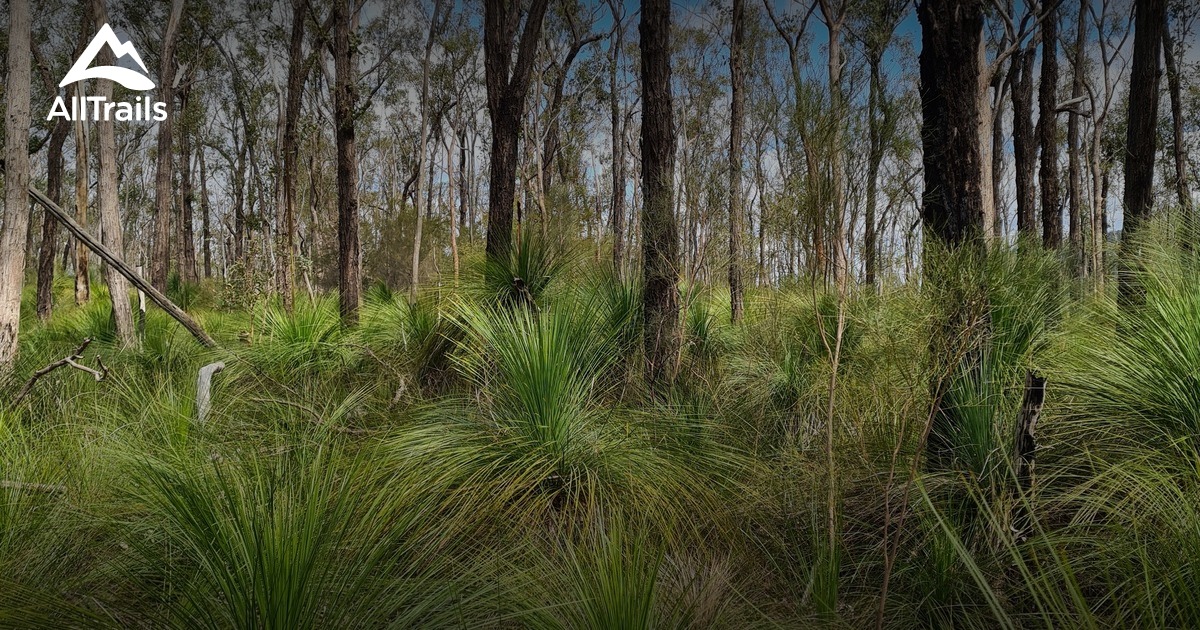 Best Trails, Walks, and Paths in Boonah | AllTrails