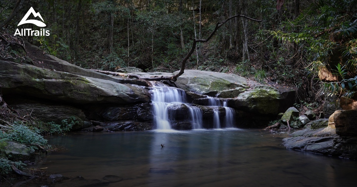 Best hikes and trails in Buderim | AllTrails