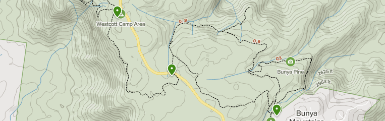 Bedste ruter i Bunya Mountains for 2023 | AllTrails