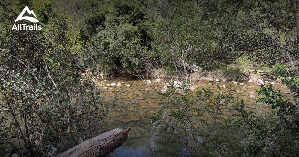 Best camping trails in Byfield | AllTrails