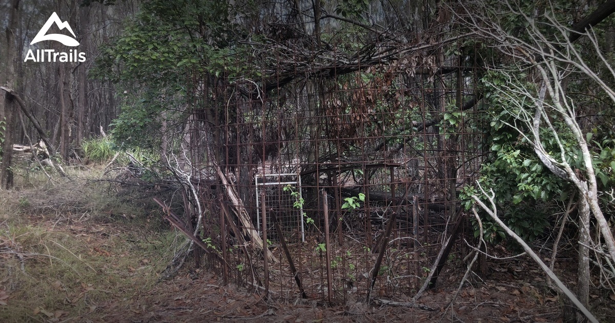 Best walking trails in Carbrook | AllTrails