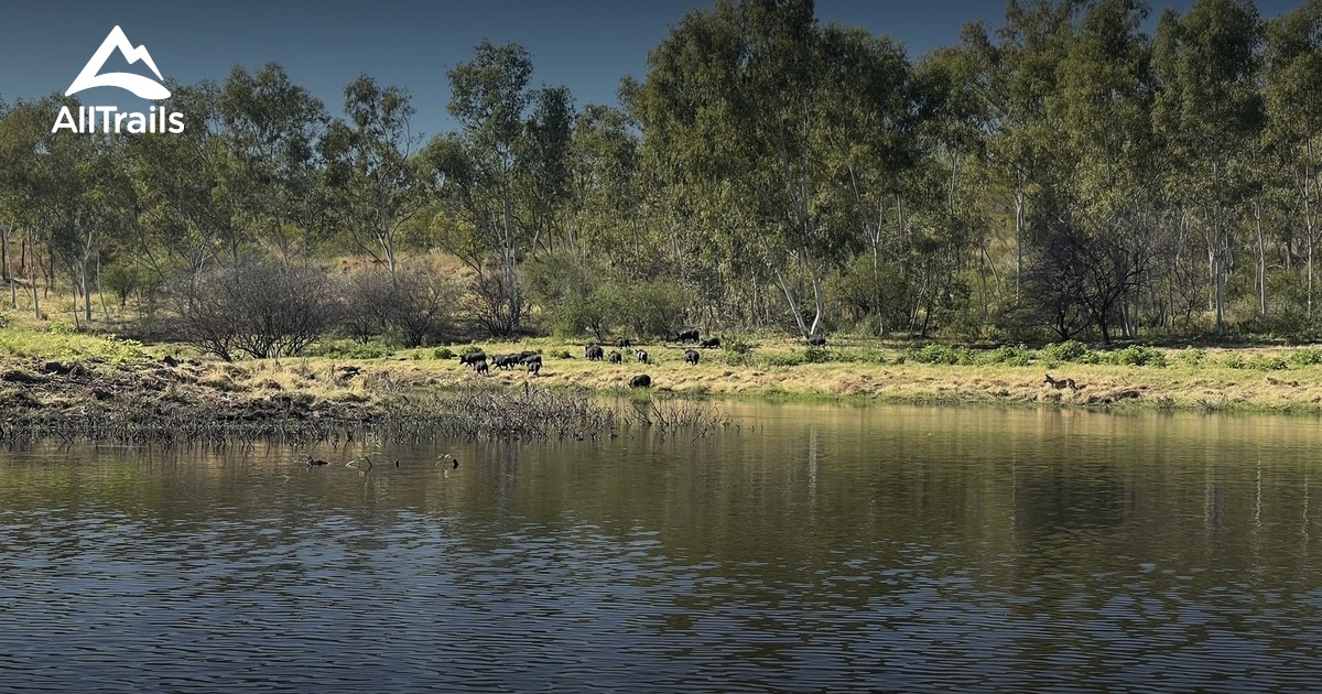 Best hikes and trails in Cloncurry | AllTrails