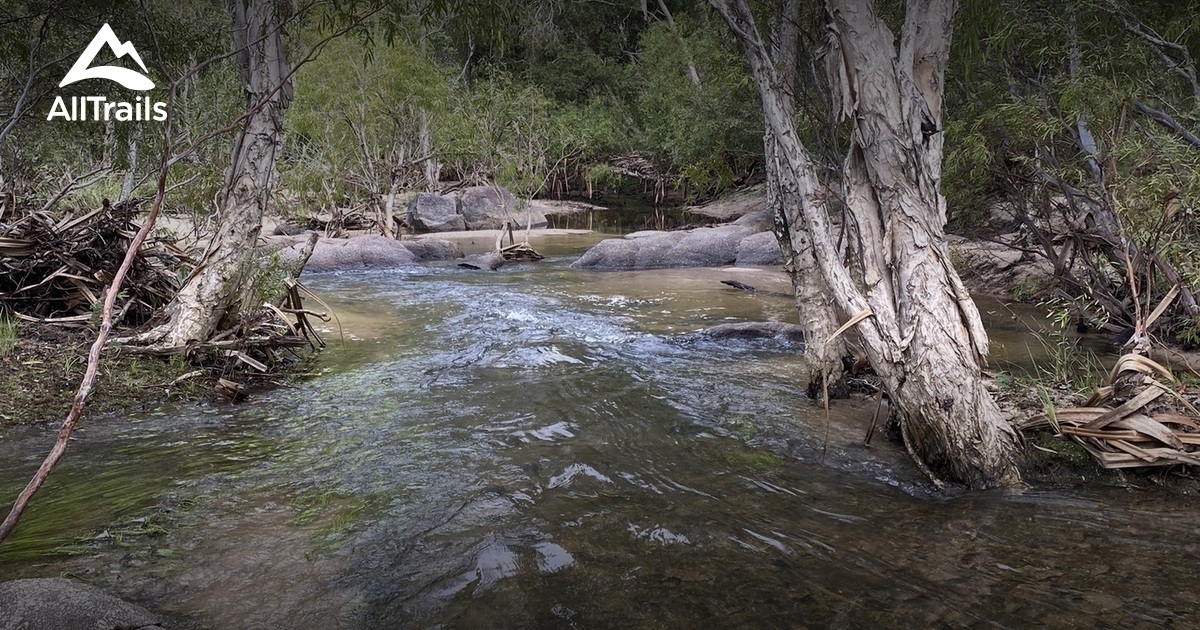 Best views trails in Coen | AllTrails