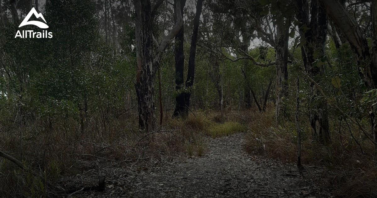 Best hikes and trails in Coonarr | AllTrails