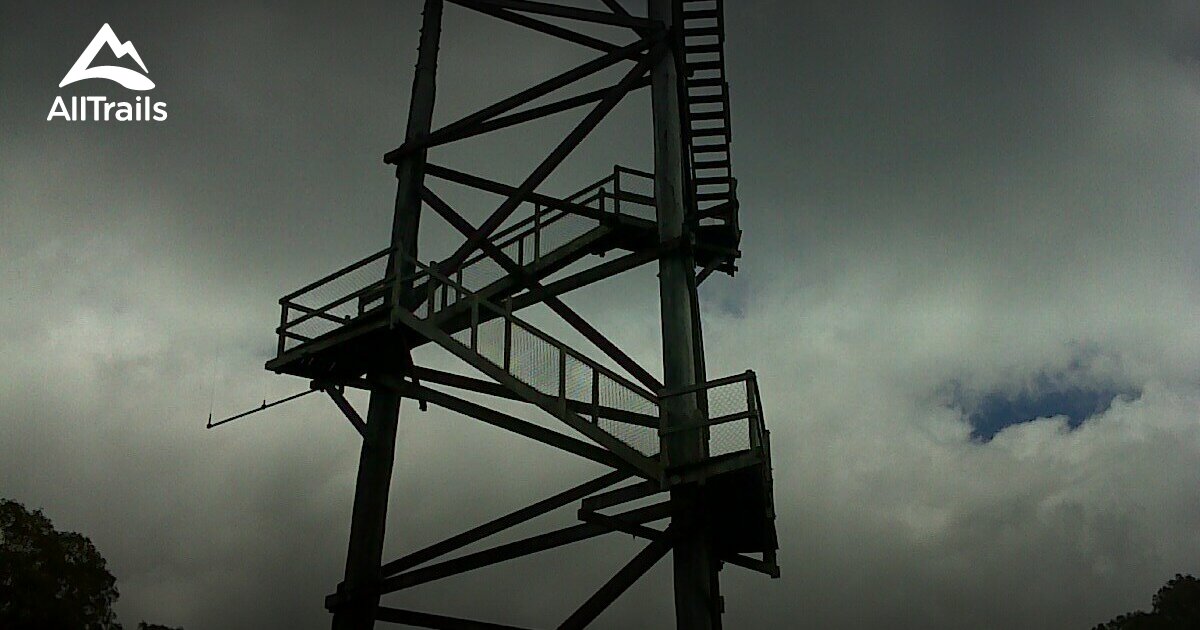 Best forest trails in Cooyar | AllTrails