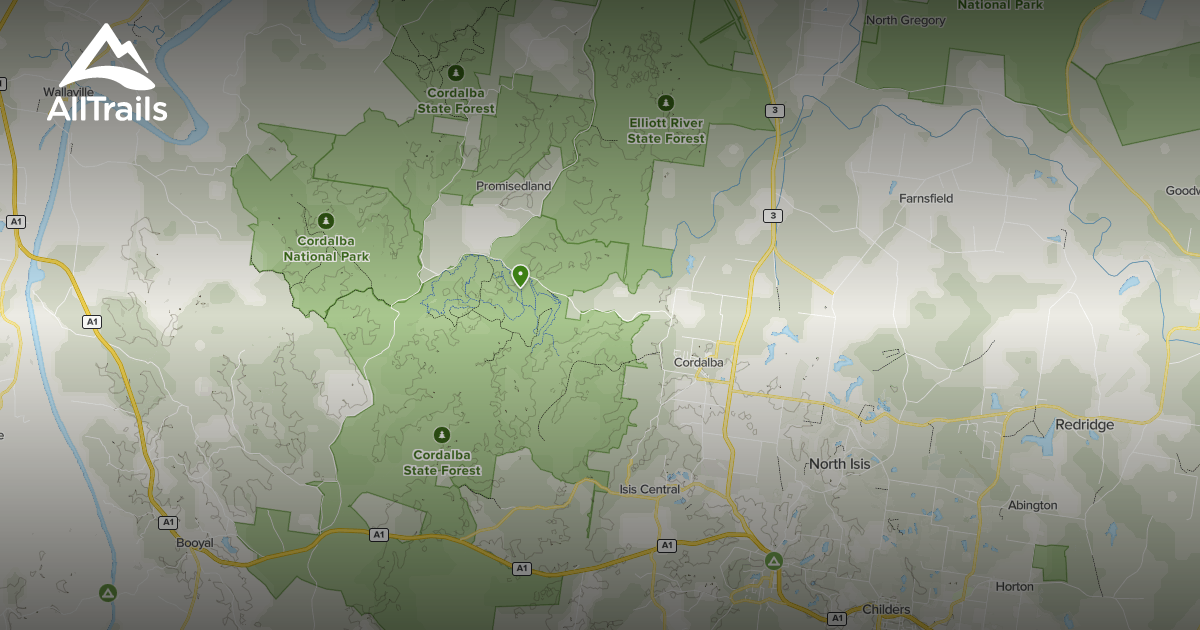 Best forest trails in Cordalba | AllTrails