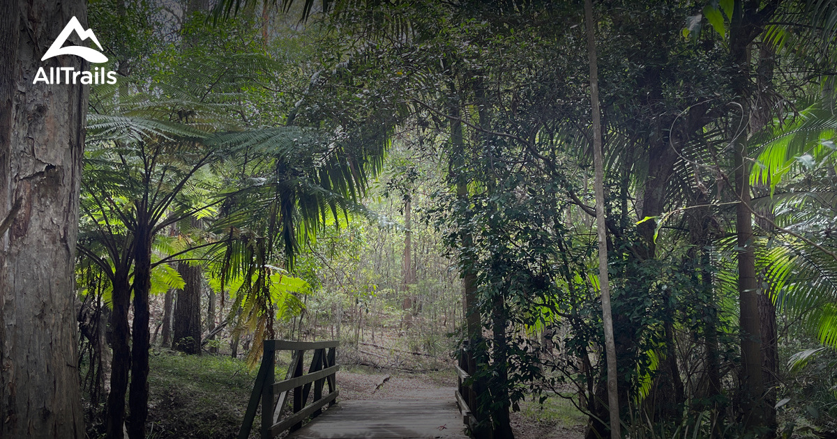 Best hikes and trails in Cornubia | AllTrails