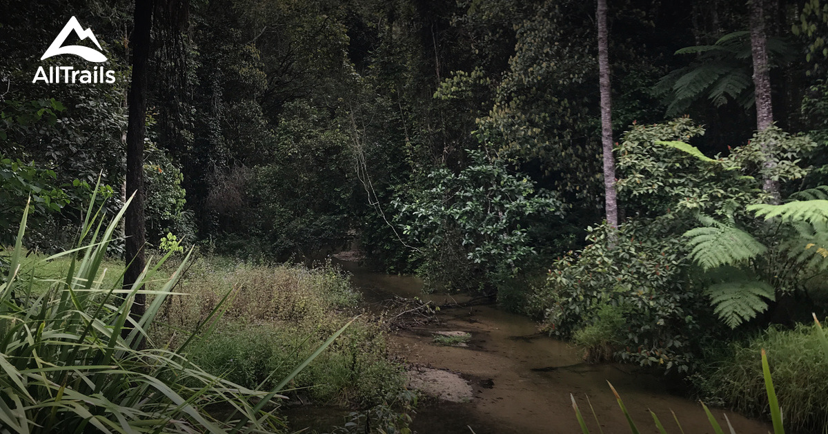 Best river trails in Danbulla | AllTrails
