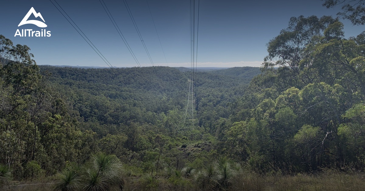 10 Best trails and hikes in Enoggera Reservoir | AllTrails