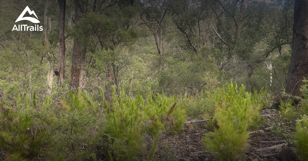 Best hikes and trails in Gatton | AllTrails
