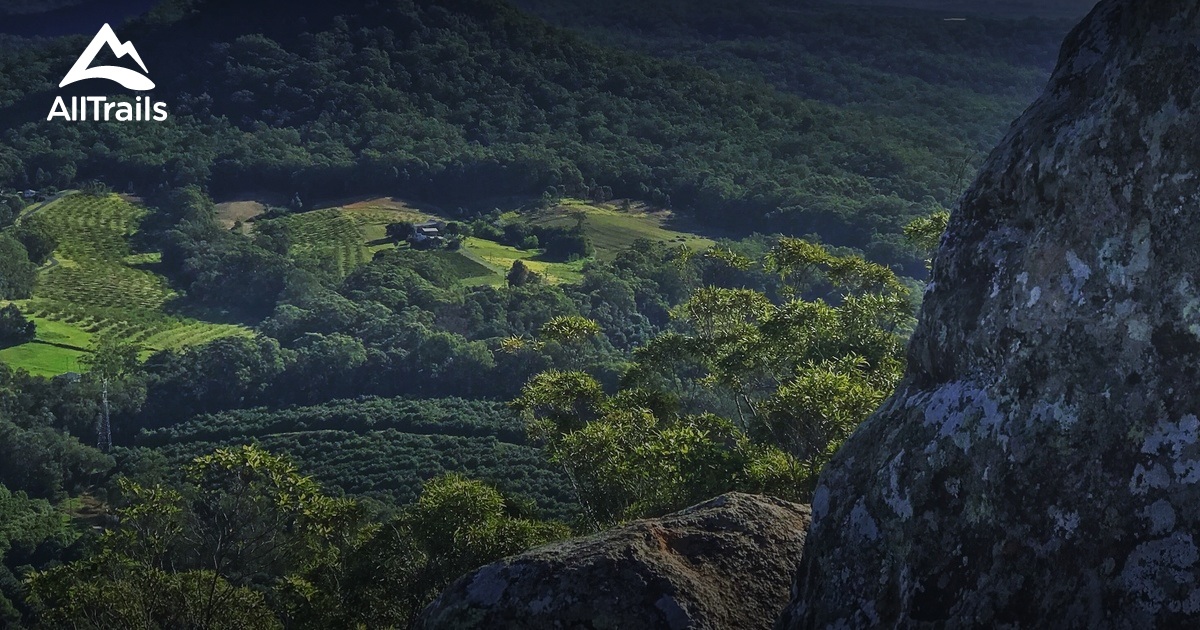 Best Trails near Glass House Mountains, Queensland Australia | AllTrails