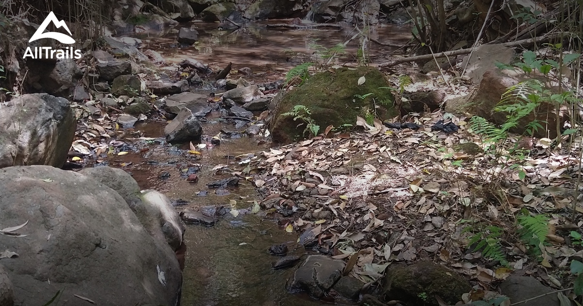 Best waterfall trails in Highfields | AllTrails