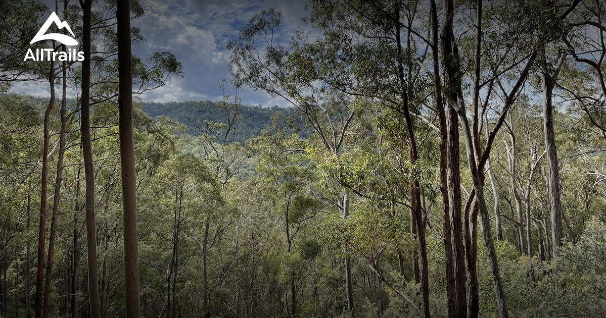 Best hikes and trails in Highvale | AllTrails