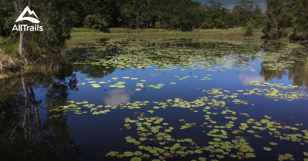 Best hikes and trails in Ingham | AllTrails