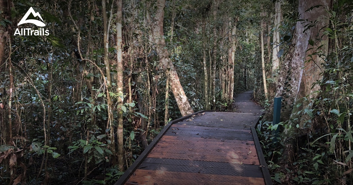 Best walking trails in Lake Eacham | AllTrails