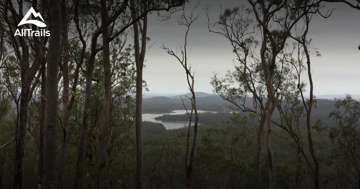 Best camping trails in Lake Manchester | AllTrails