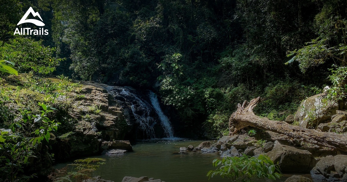 Best river trails in Lamington | AllTrails