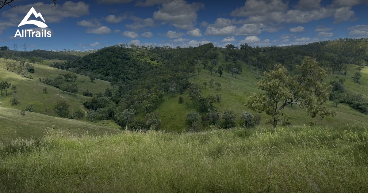 Best hikes and trails in Linville | AllTrails