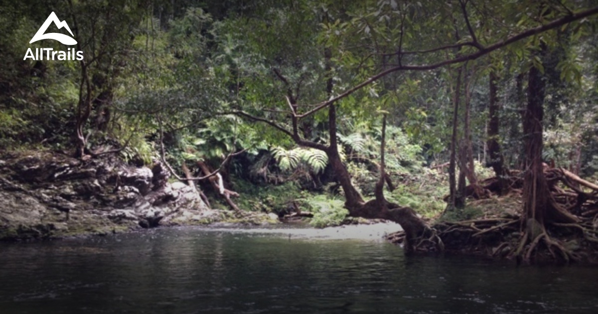 Best hikes and trails in Little Mulgrave | AllTrails