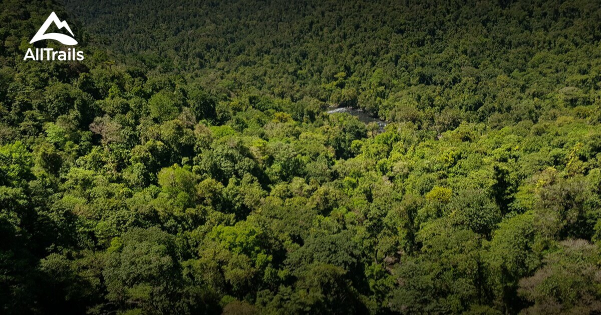 Best hikes and trails in Mamu | AllTrails