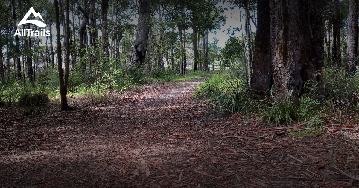 10 najlepszych szlaków rzecznych w: Maroochydore | AllTrails