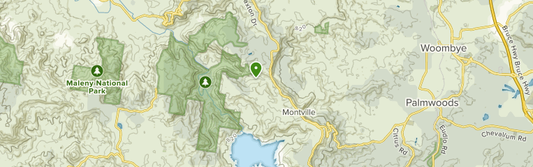 Best Trails near Montville, Queensland Australia | AllTrails
