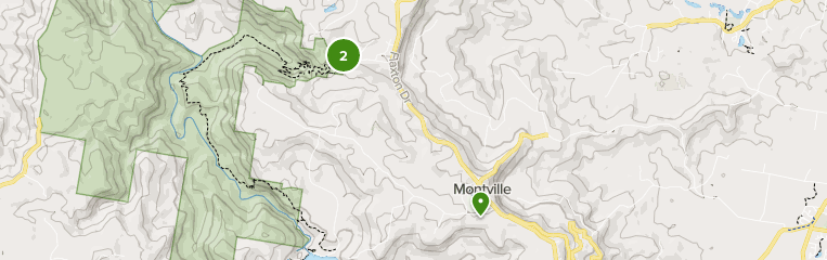 Best trails in Montville | AllTrails