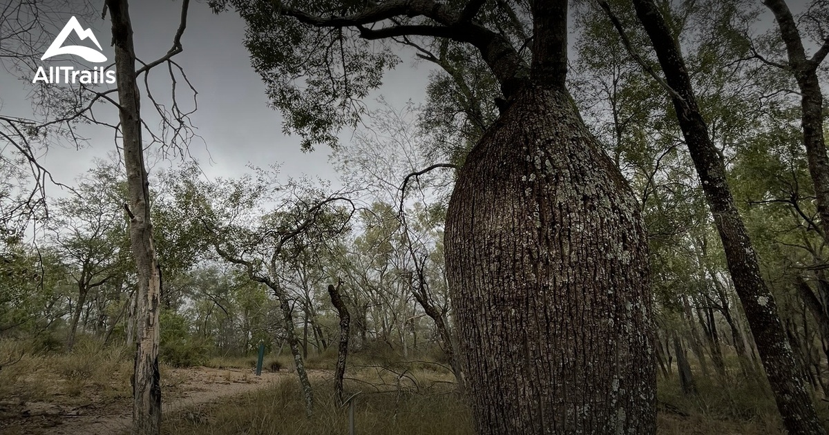 Best hikes and trails in Morven | AllTrails