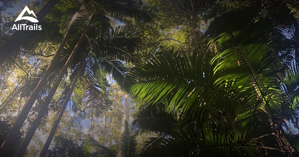 De beste korte routes in Mount Byron | AllTrails