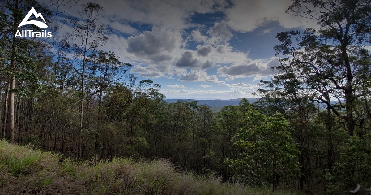 Best Trails near Mount Coot-tha, Queensland Australia | AllTrails