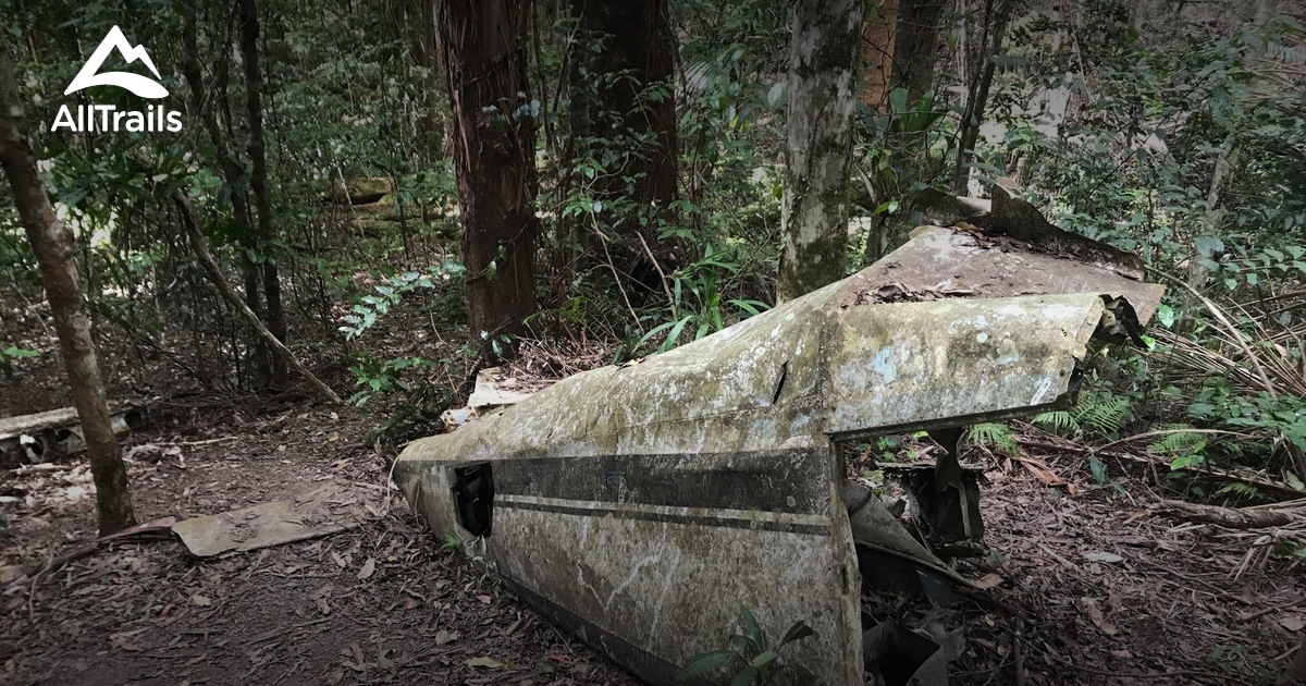 Best Trails near Mount Glorious, Queensland Australia | AllTrails