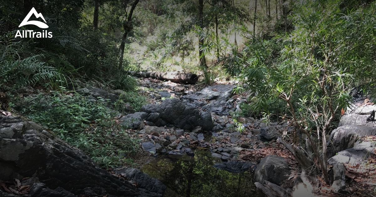 Best Trails near Mount Glorious, Queensland Australia | AllTrails
