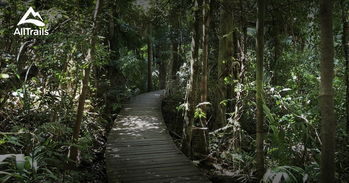 Best Trails near Mount Glorious, Queensland Australia | AllTrails