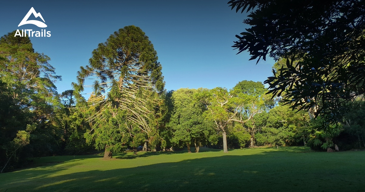 10 Best walking trails in Mount Glorious | AllTrails