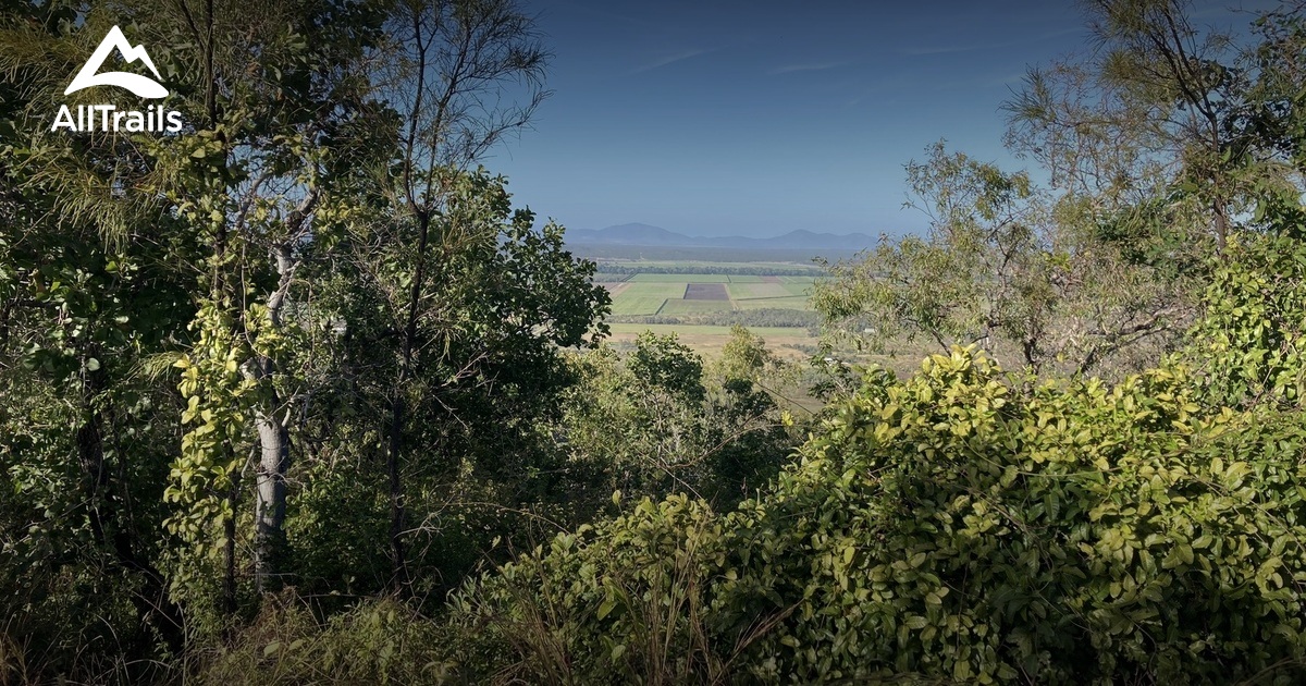 Best hikes and trails in Mount Kelly | AllTrails