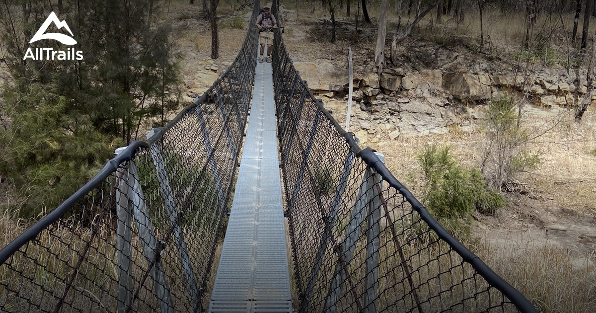Best forest trails in Mount Moffatt | AllTrails