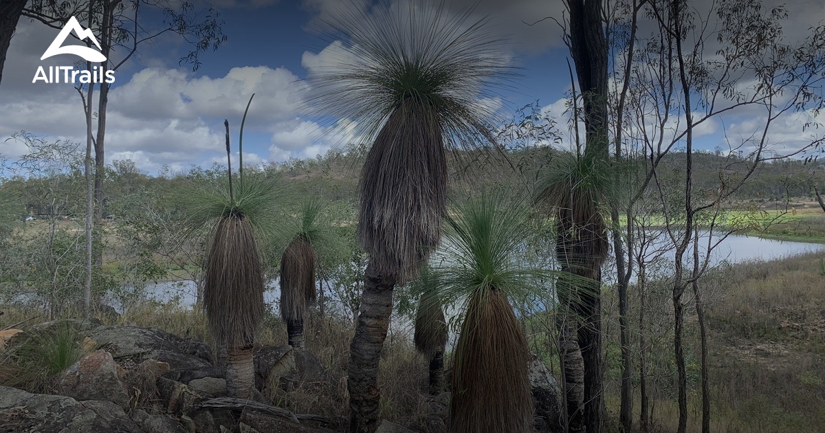 Best hikes and trails in Mount Morgan | AllTrails