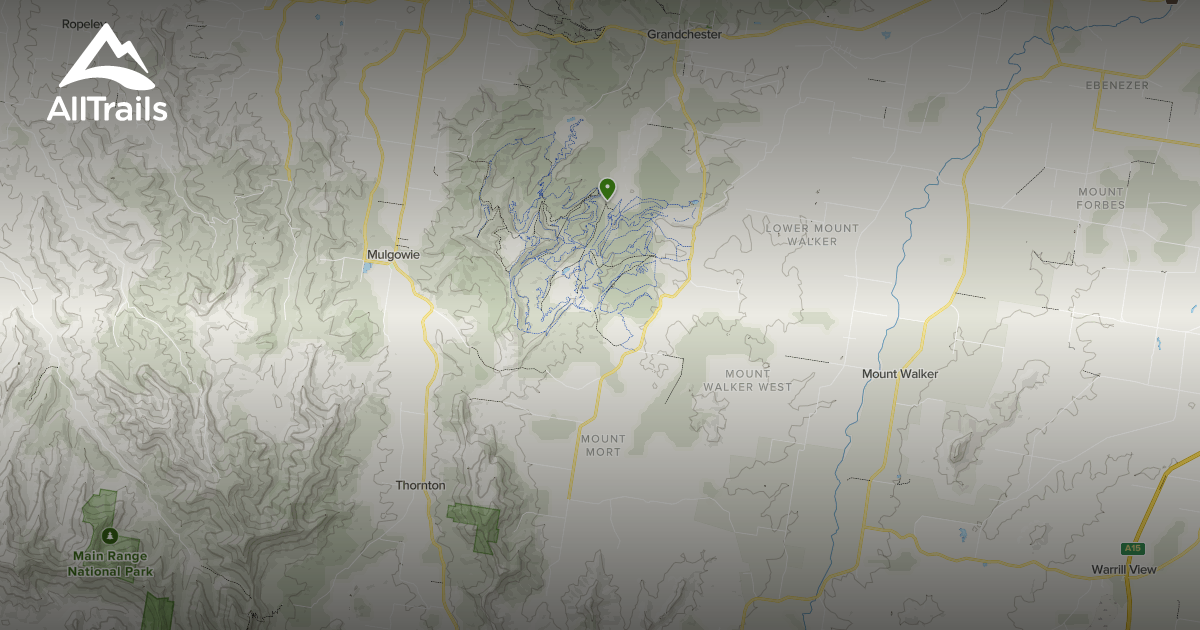 Best hikes and trails in Mount Mort | AllTrails